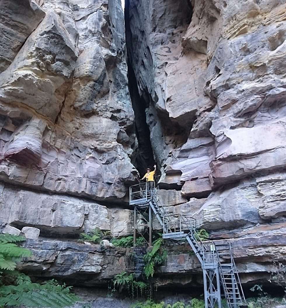 Carnarvon Gorge National Park Walk Out To The Art Gallery