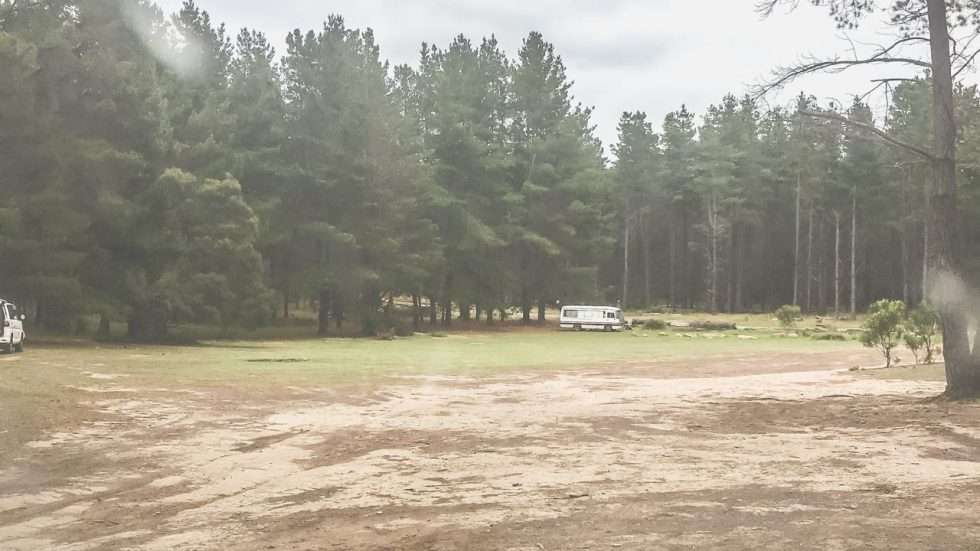 Belanglo State Forest Camping At Dalys Clearing
