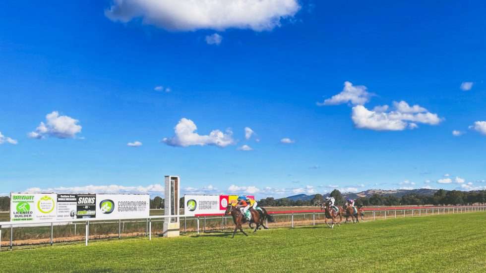 10 Things To Do In Cootamundra