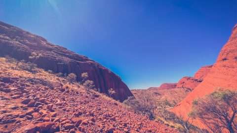 The Olga's Kata Tjuta You Must Visit Them In (2025)