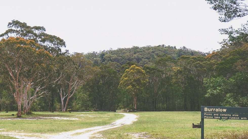 17 Best Campgrounds To Camp Near Sydney