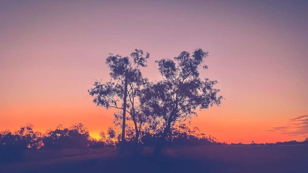 Free Camping in Winton QLD: Your Outback Adventure Awaits!