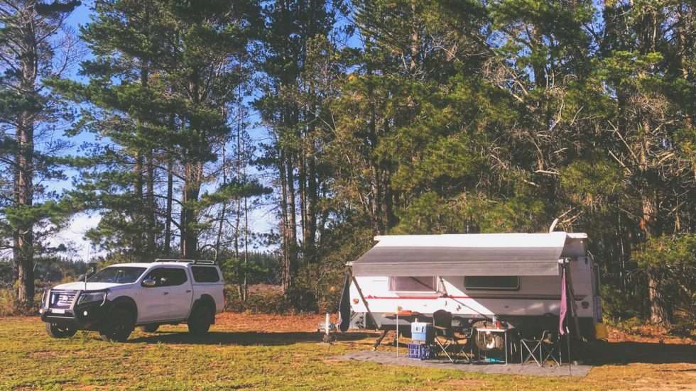 The Ultimate Guide To State Forest Camping In NSW Australia