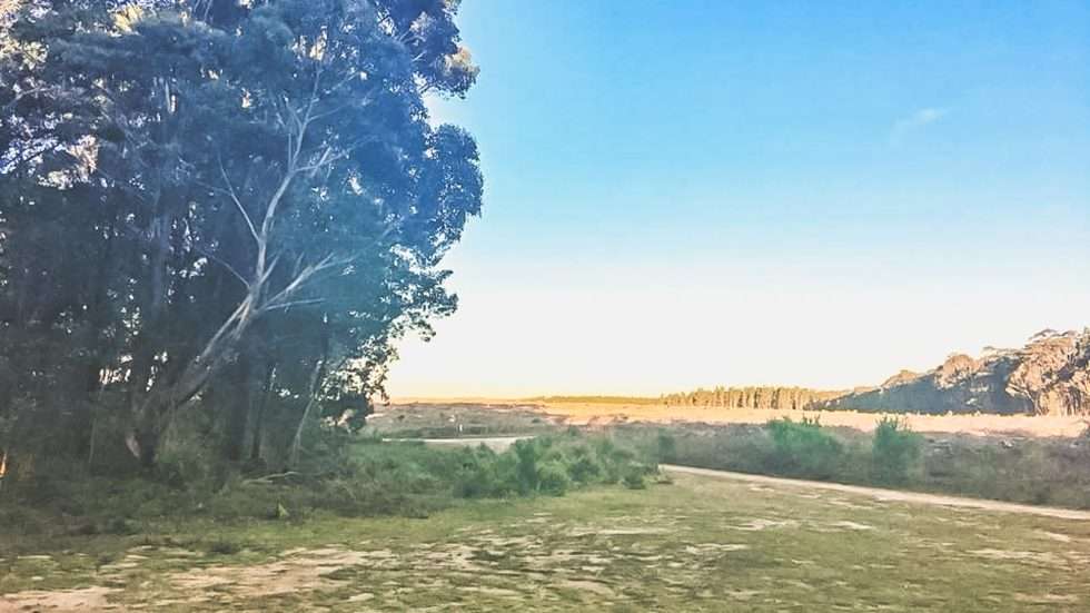 The Ultimate Guide To State Forest Camping In NSW Australia