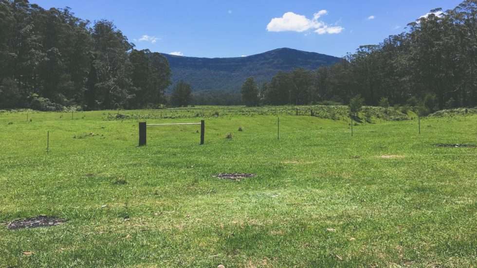 The Ultimate Guide To State Forest Camping In NSW Australia