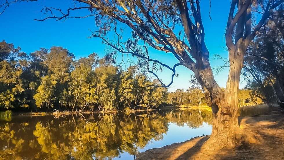 25 Best Camp Sites For Free Camping In Echuca