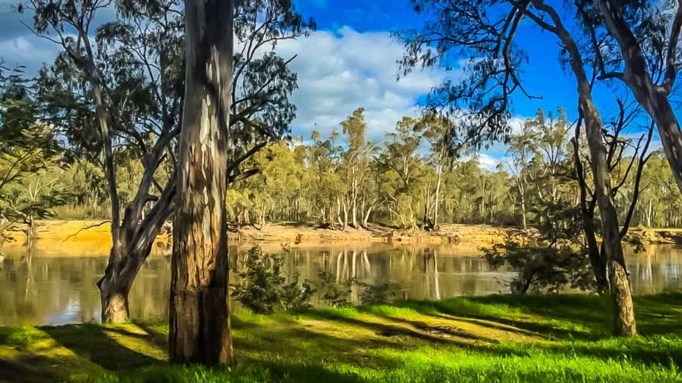 25 Best Camp Sites For Free Camping In Echuca