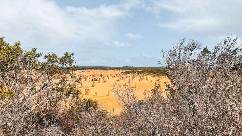 We Visited The Pinnacles Desert: Awesome Day Trip From Perth