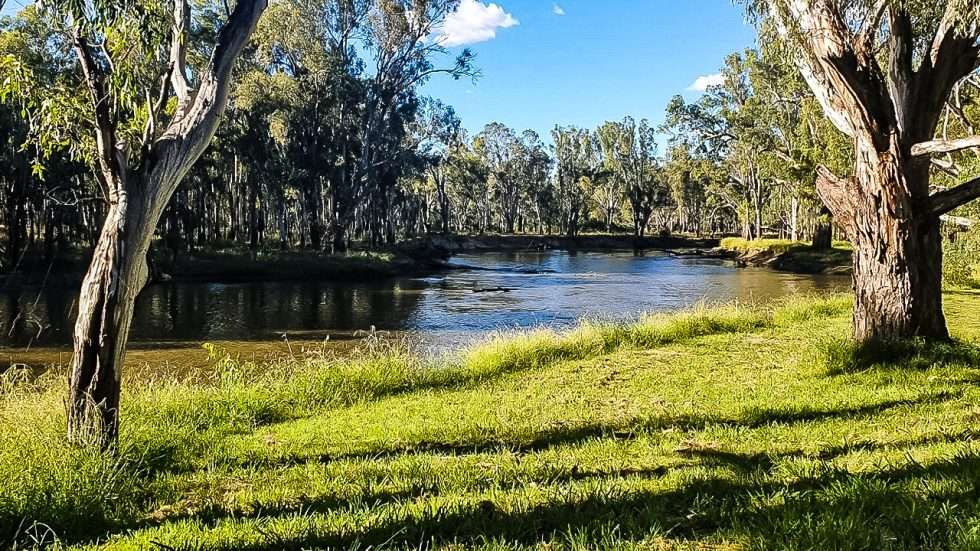 The Police Paddocks Campsite: Murray River Free Camp